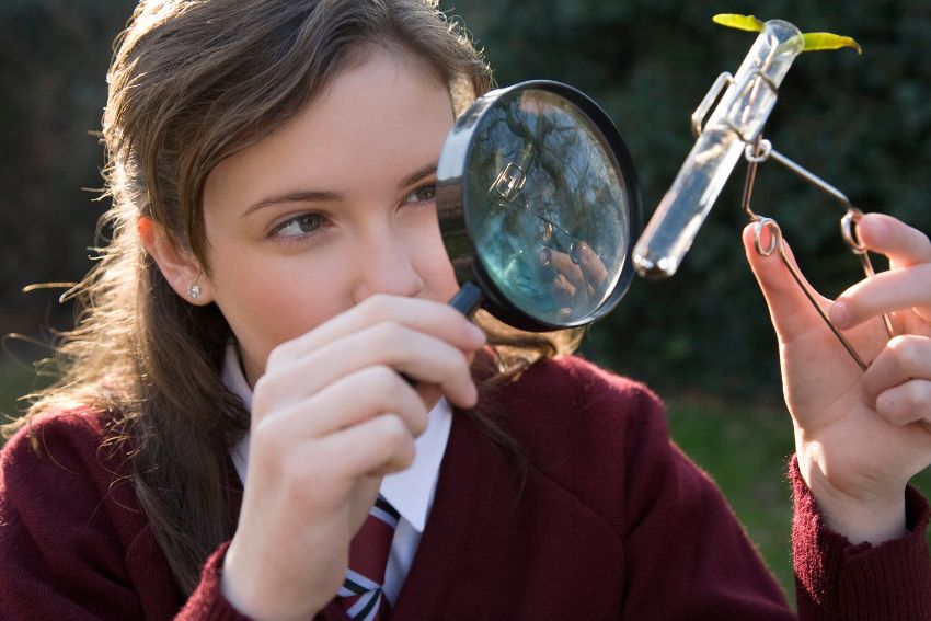 IGCSE Biology Specification: What You Need to Know?