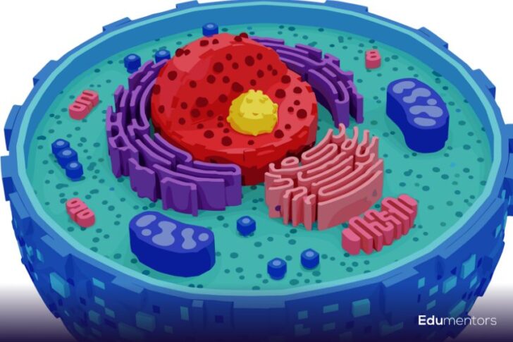 GCSE Biology Topics: What Do You Need to Know